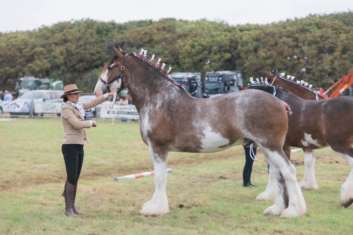 All you need to know about Caithness Show 2025