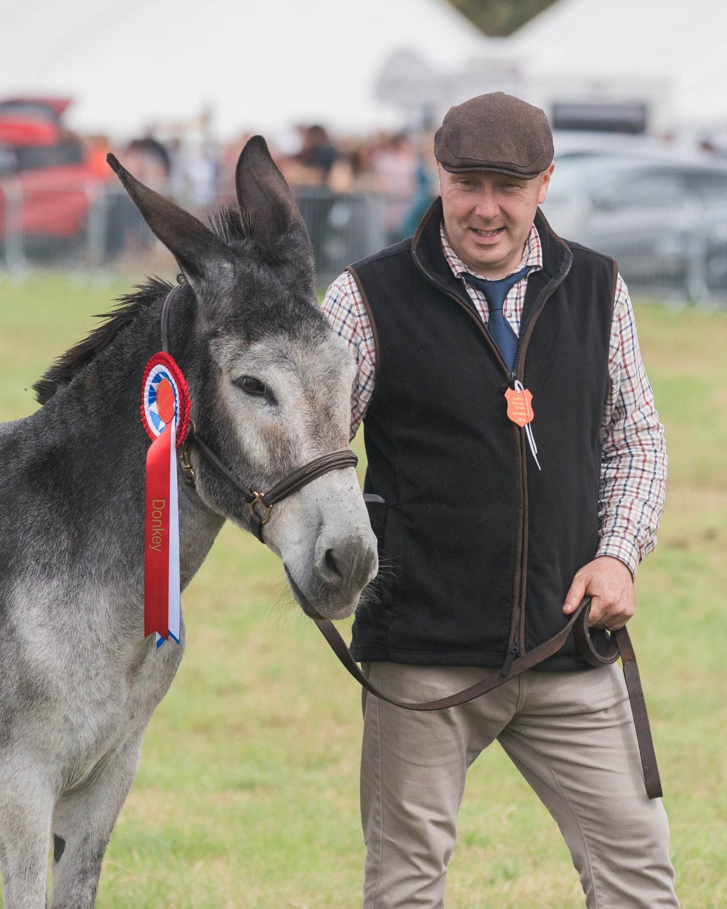 All you need to know about Caithness Show 2025