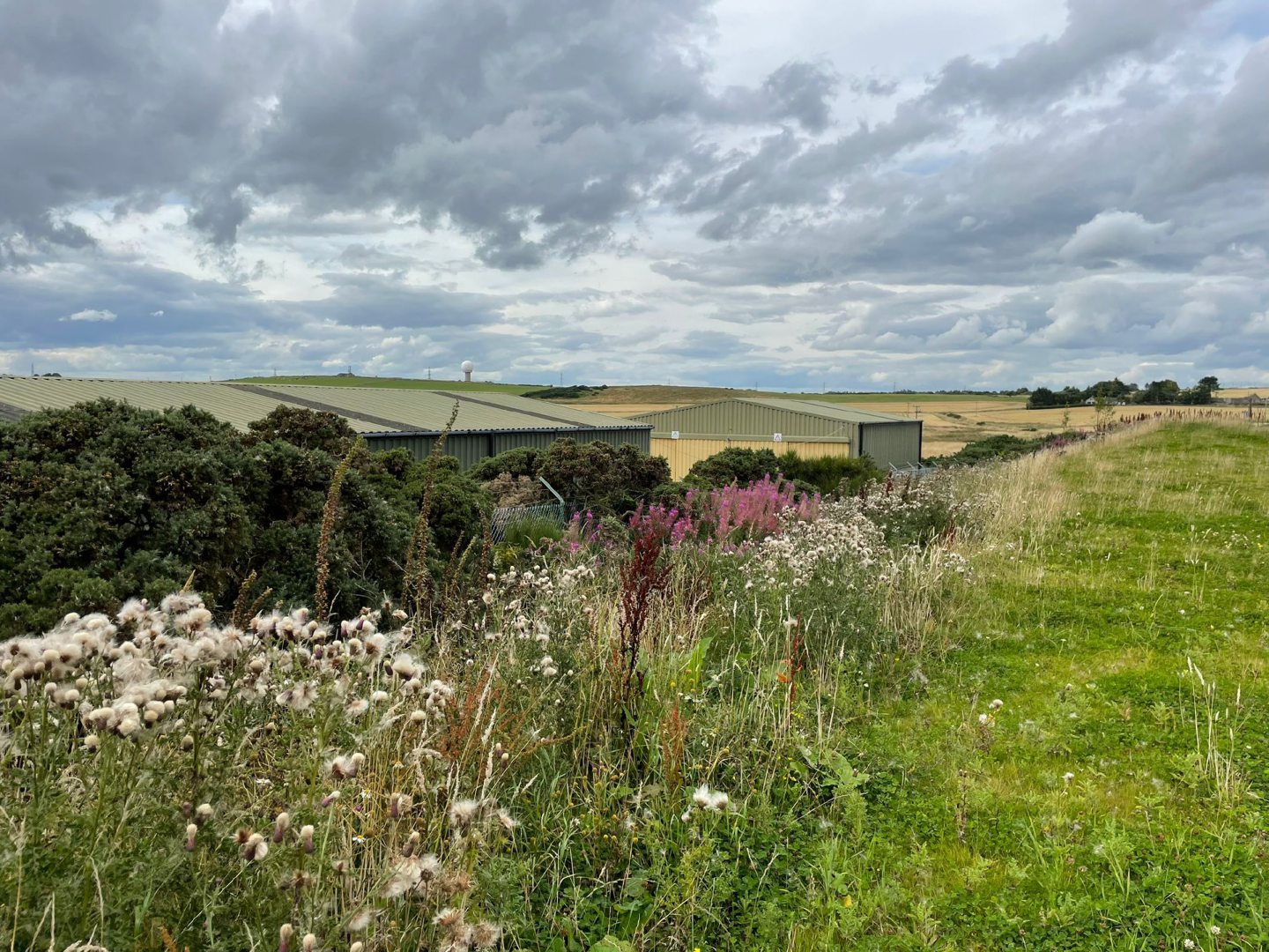 Scotstown Moor homes could be approved if badgers can be safe