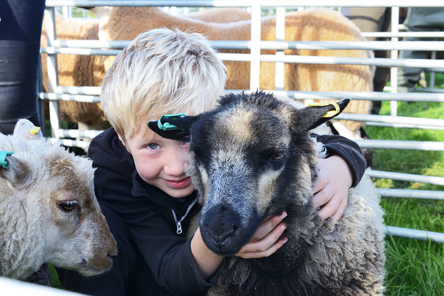 All you need to know about Keith Show