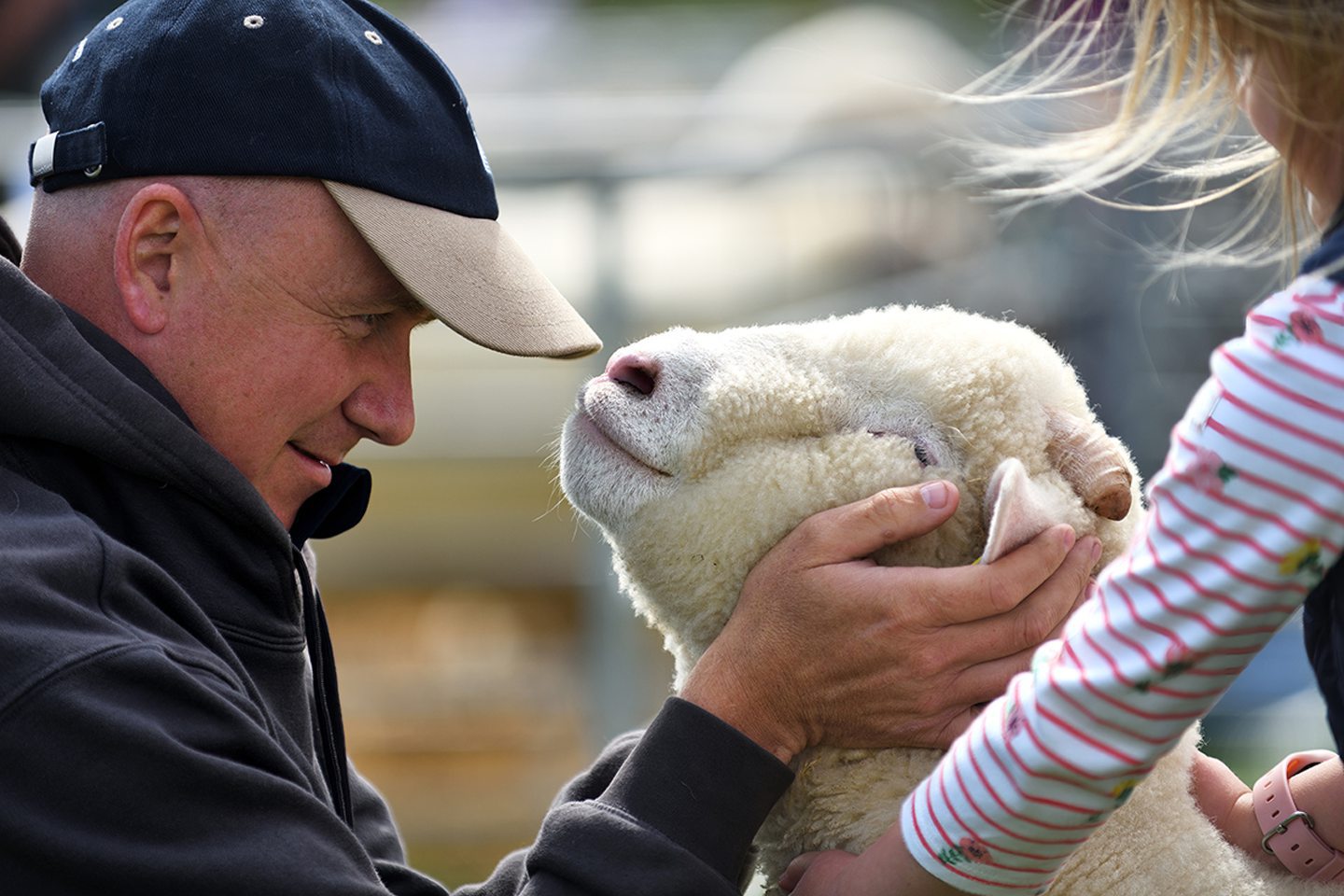 All you need to know about Keith Show