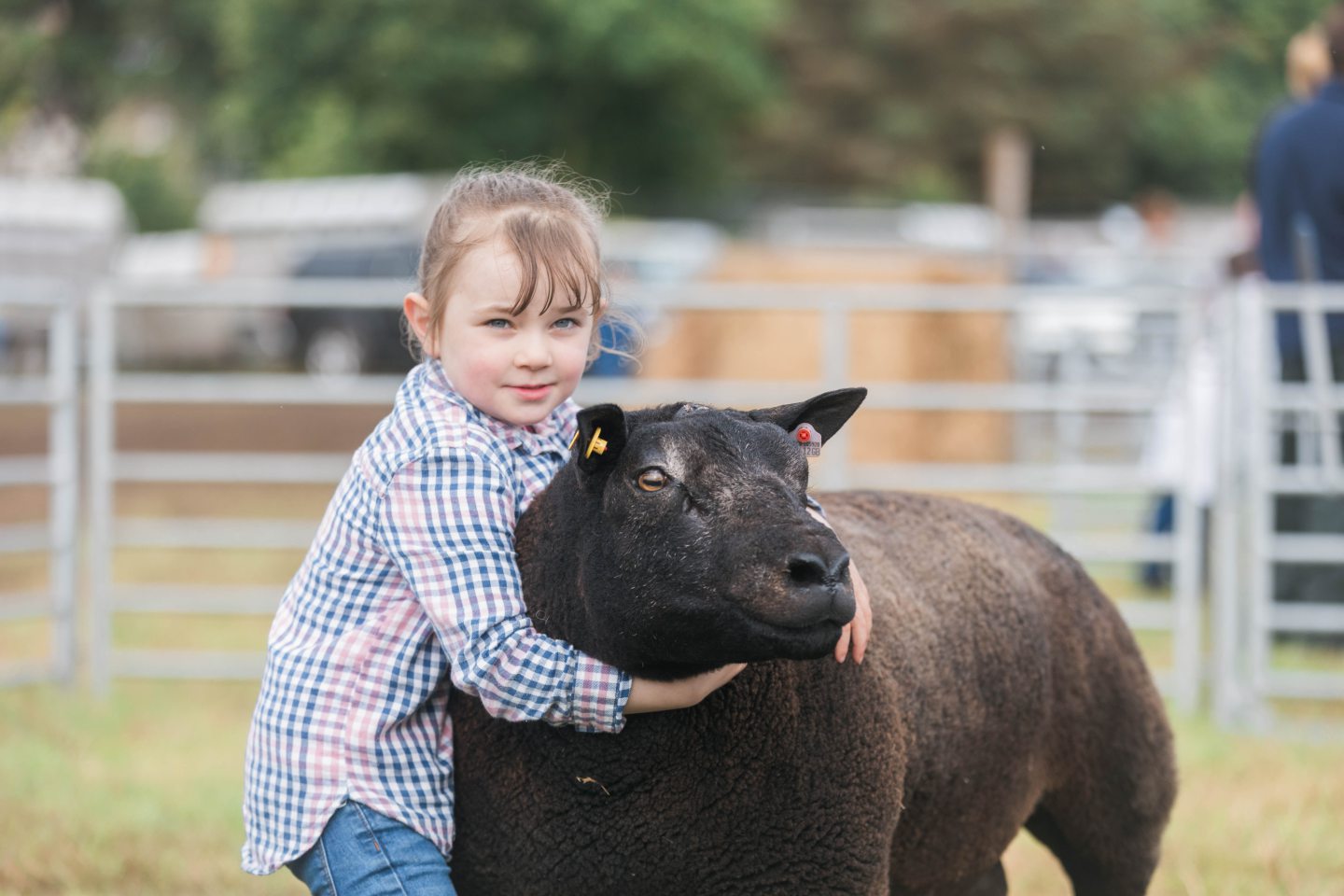All you need to know about Caithness Show 2025