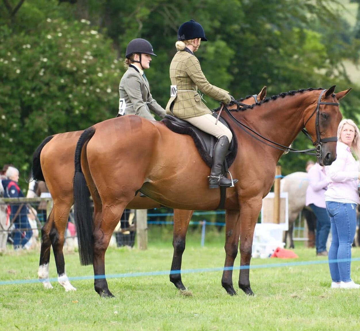 All you need to know about New Deer Show