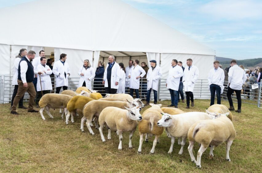 All you need to know about Echt Show