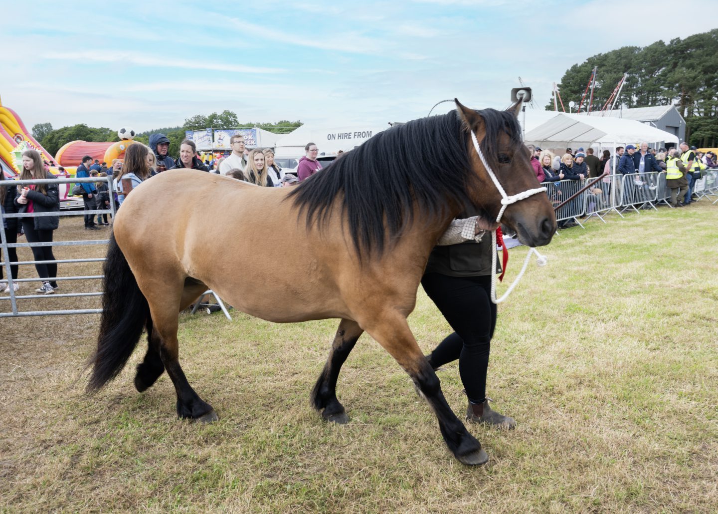 All you need to know about Echt Show