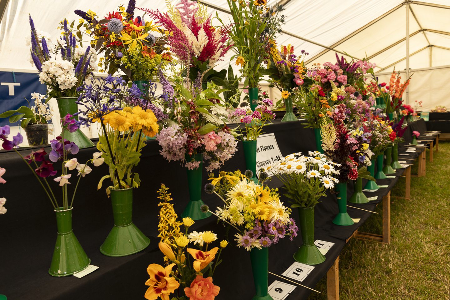 All you need to know about Nairn Show