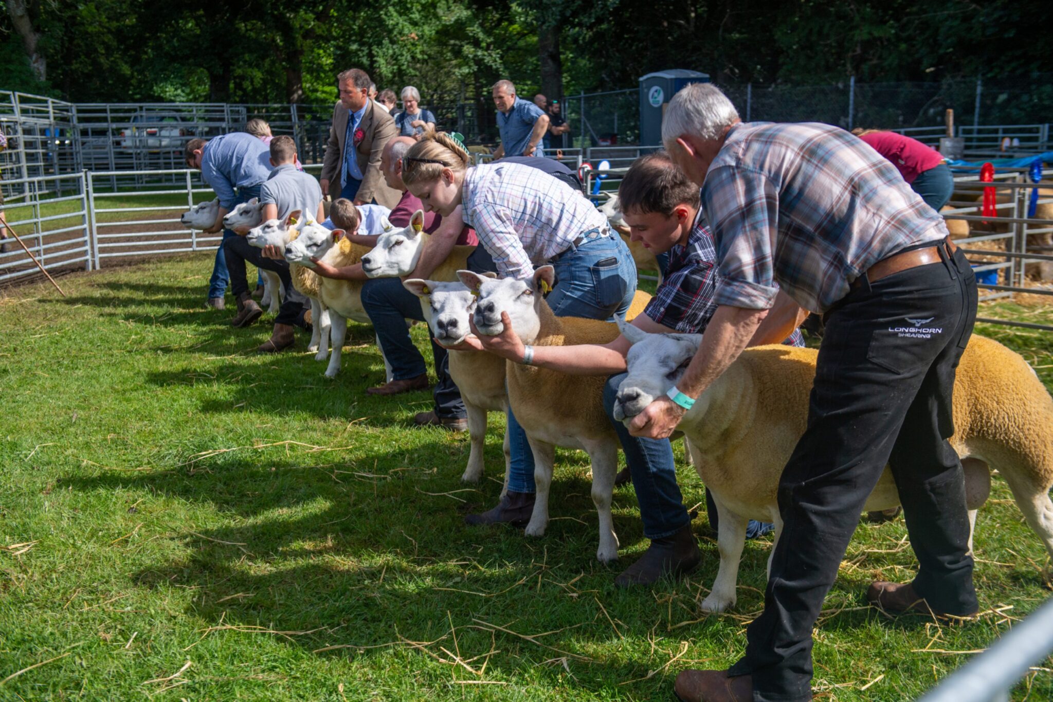 All you need to know about Banchory Show