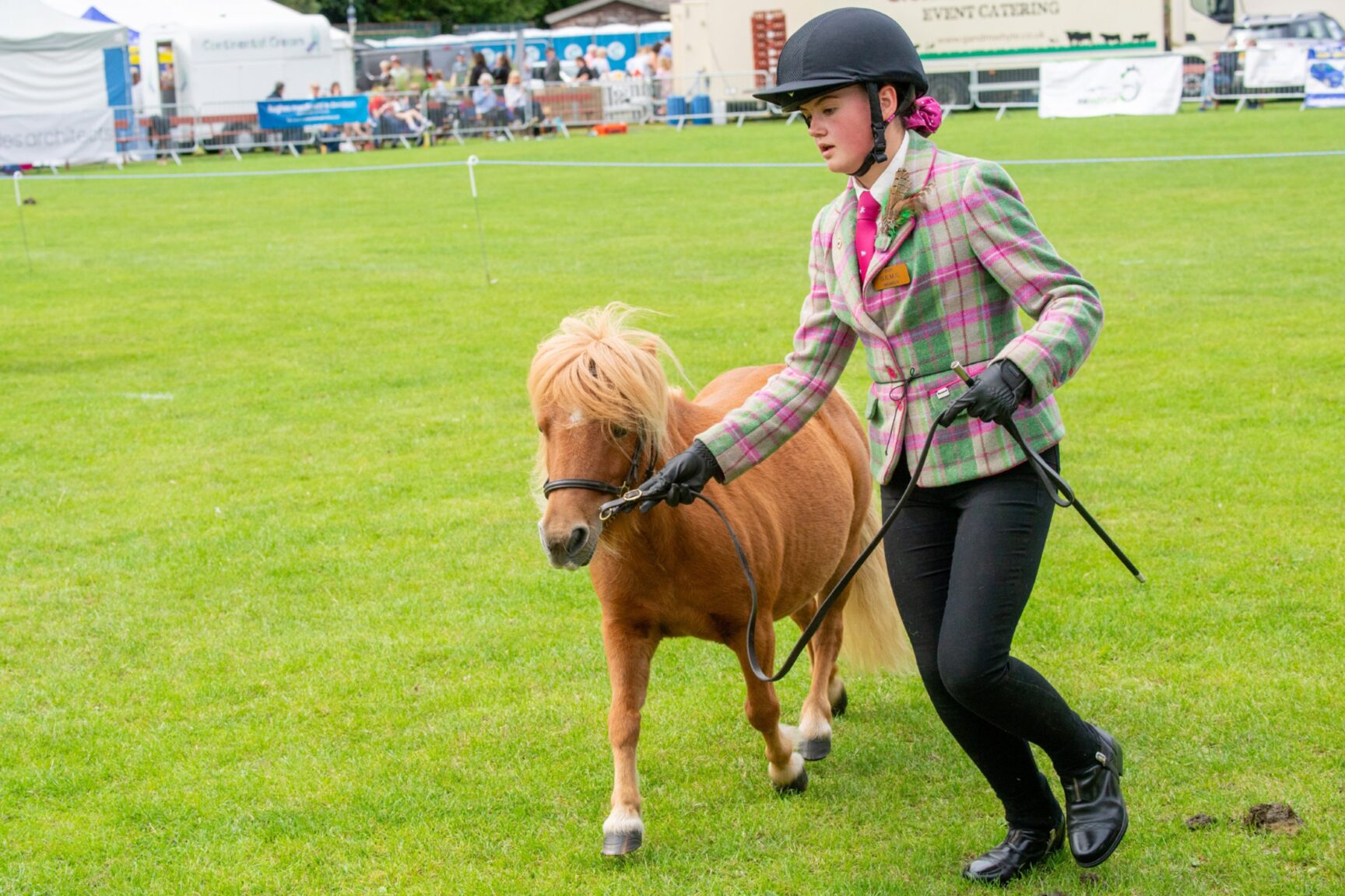 32 best pictures from Banchory Show - Press and Journal