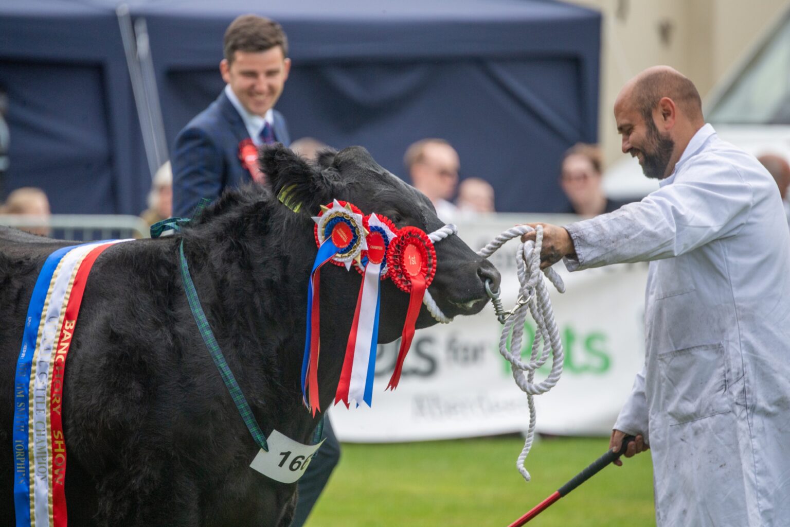 32 best pictures from Banchory Show - Press and Journal