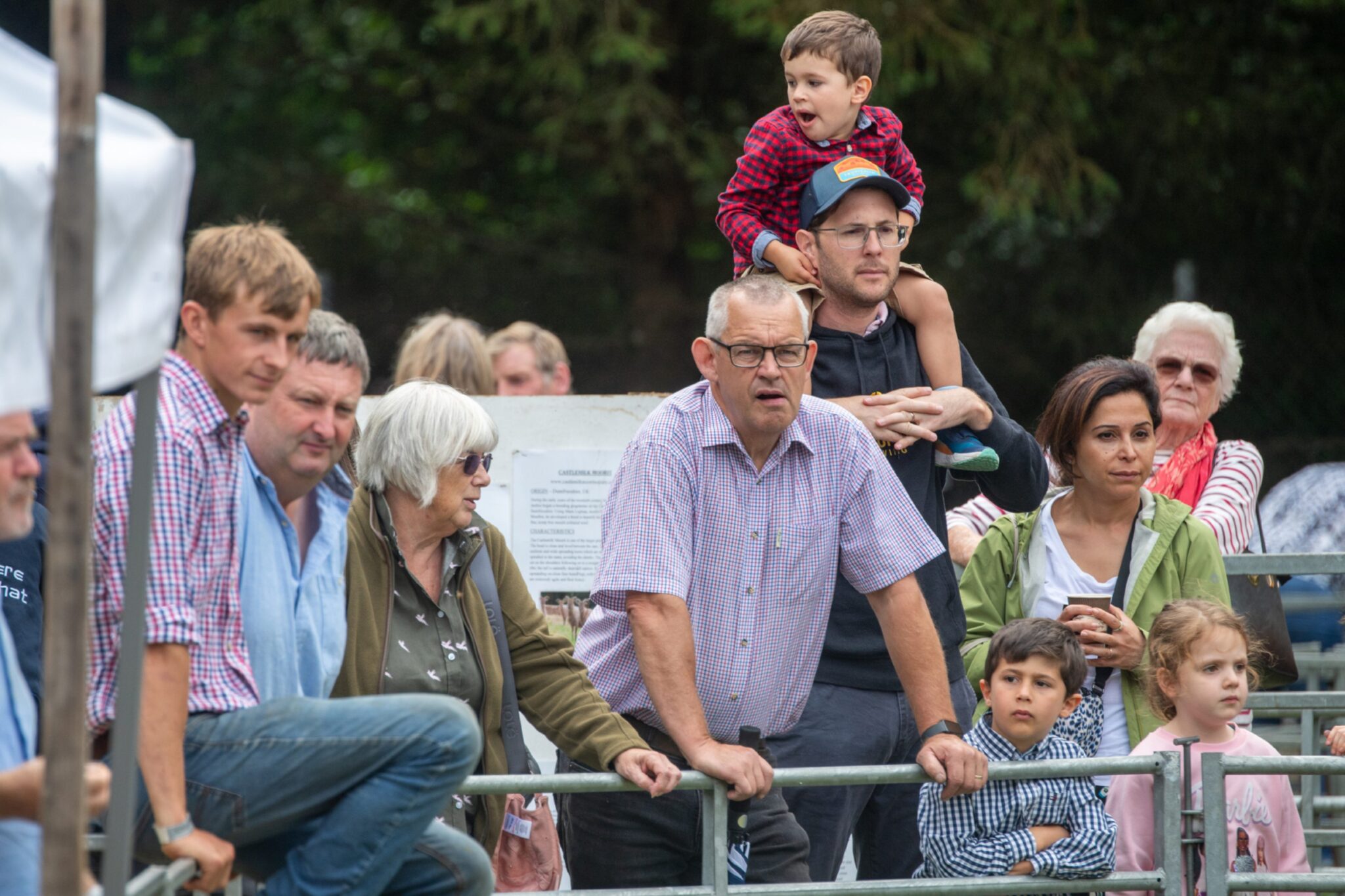 32 best pictures from Banchory Show - Press and Journal