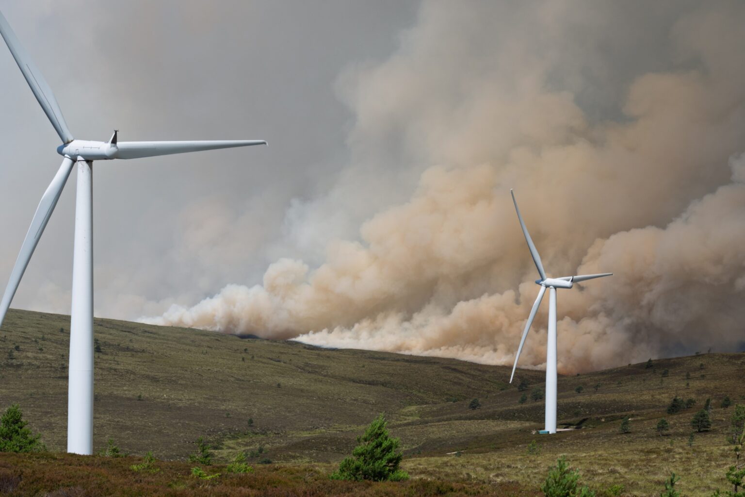 Campfires and BBQs could be banned in Moray in wake of wildfires