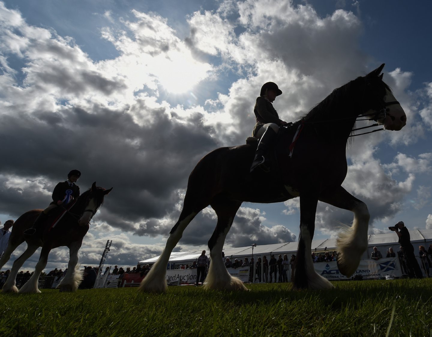 All you need to know about Keith Show