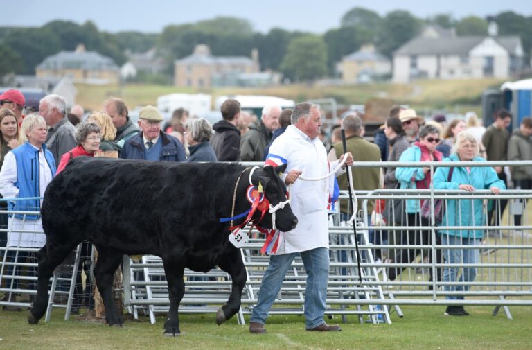 All you need to know about Sutherland Show