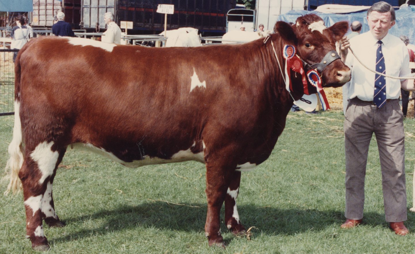 Gallery: Turriff Show through the years