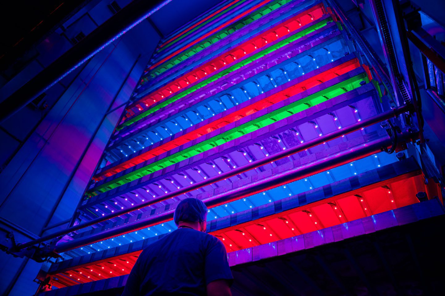 BrewDog's Martin Dickie gave me a tour of his new cannabis farm