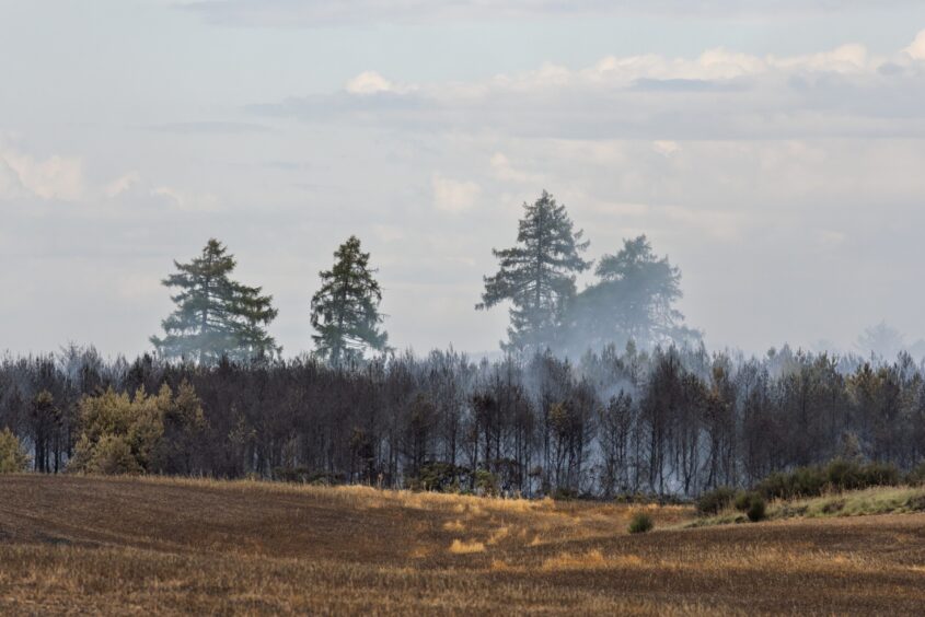 Fire crews battle wildfire near Nairn