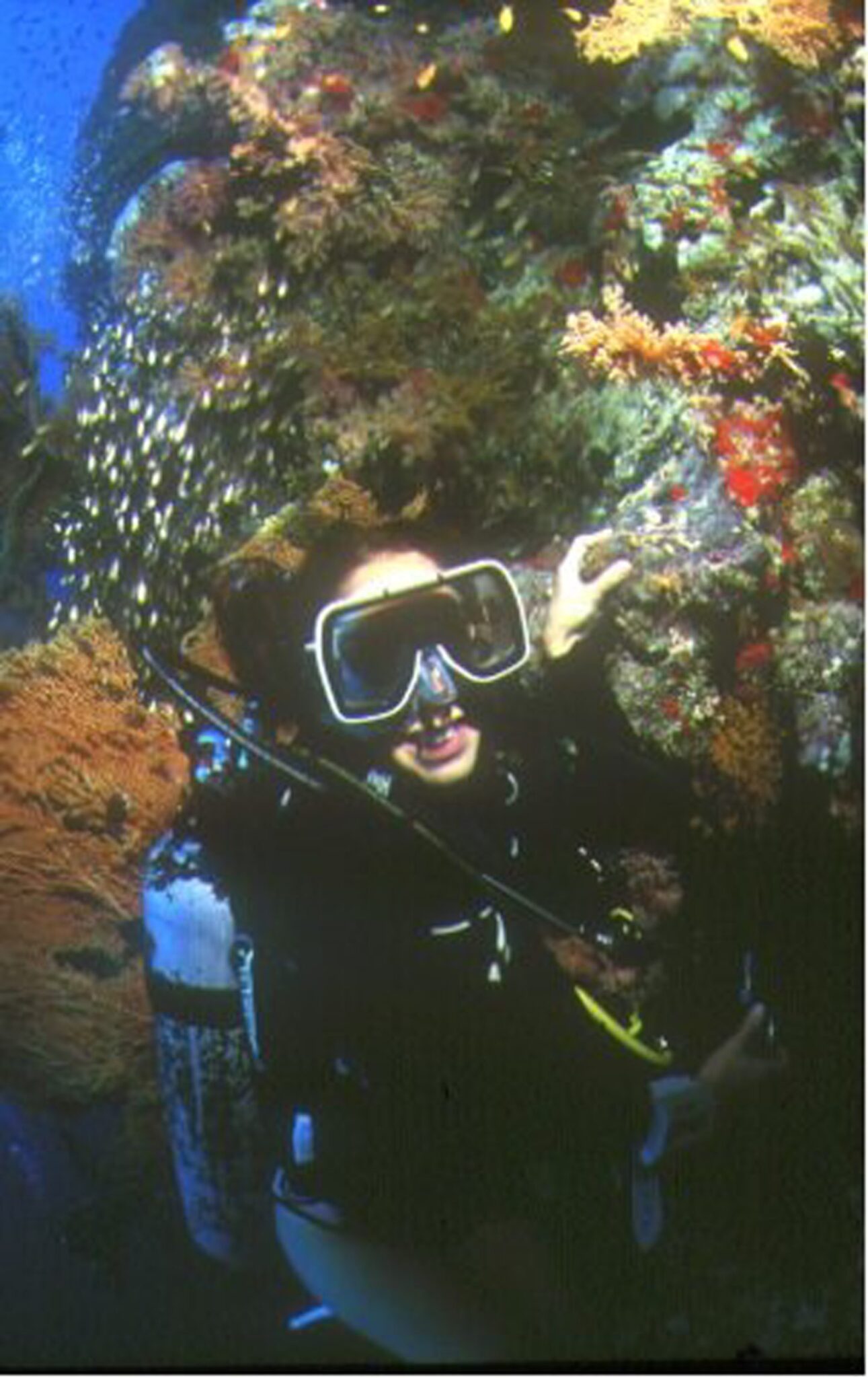 Aberdeen engineer of her journey with wave energy firm Zoex