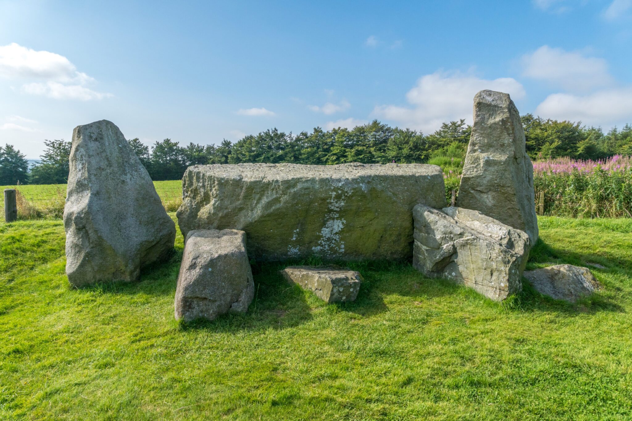 Aberdeenshire couple say farm's hedge and trees causing 'distress'