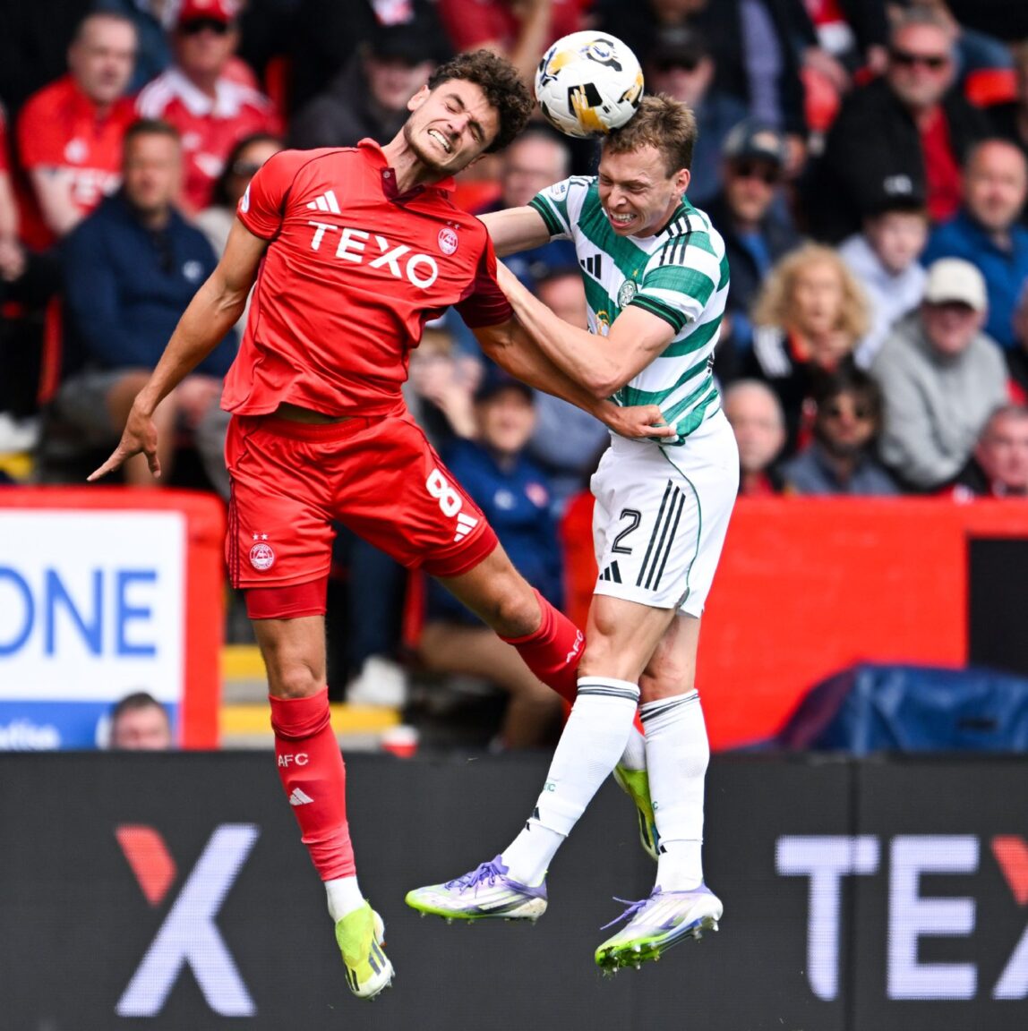 Aberdeen's Jimmy Thelin: Why Dante Polvara is not starting games