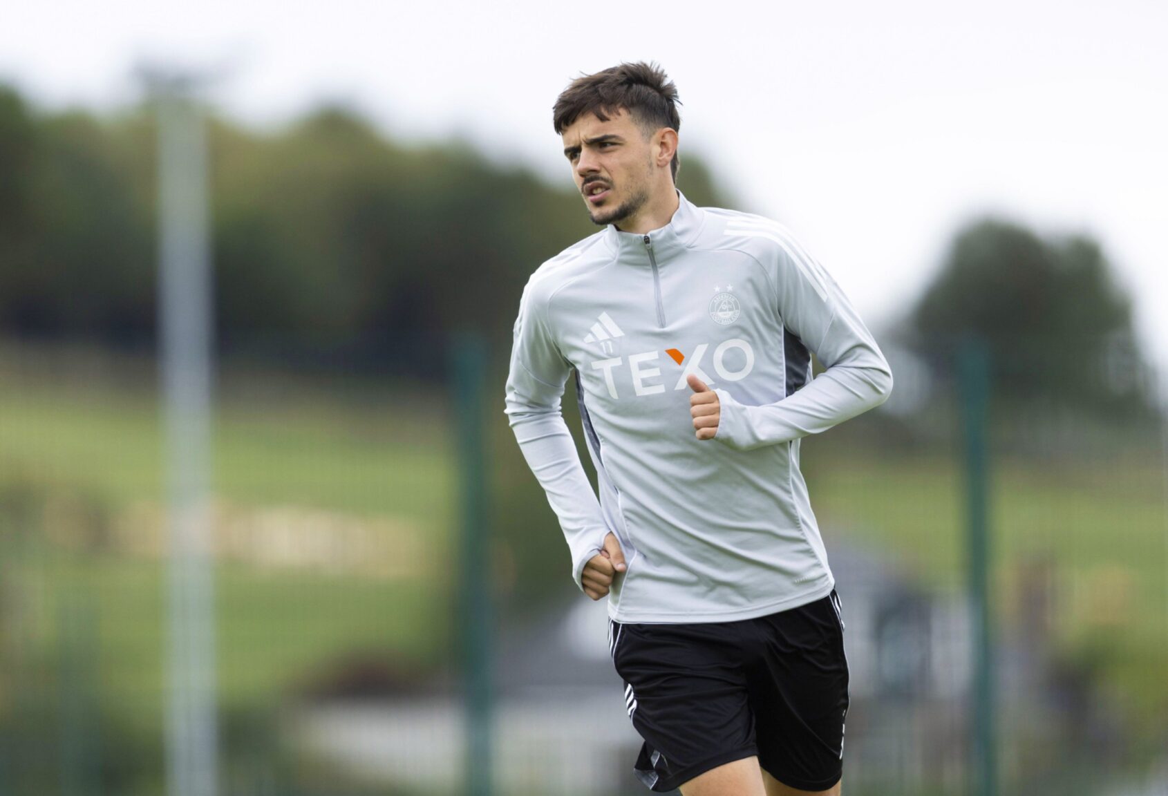 Richard Gordon: Aberdeen FC must make a new striker the priority