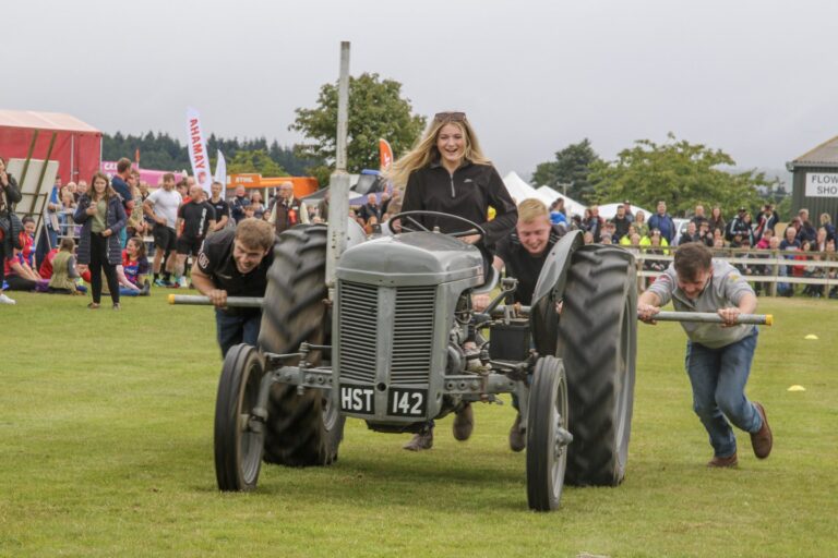 All you need to know about Black Isle Show