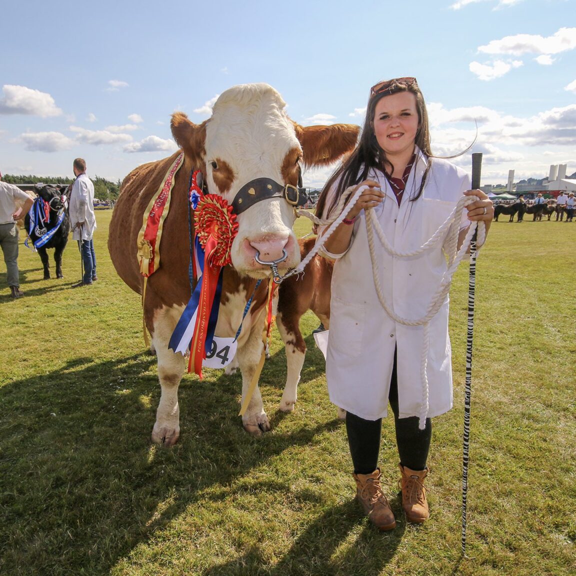 All you need to know about Black Isle Show