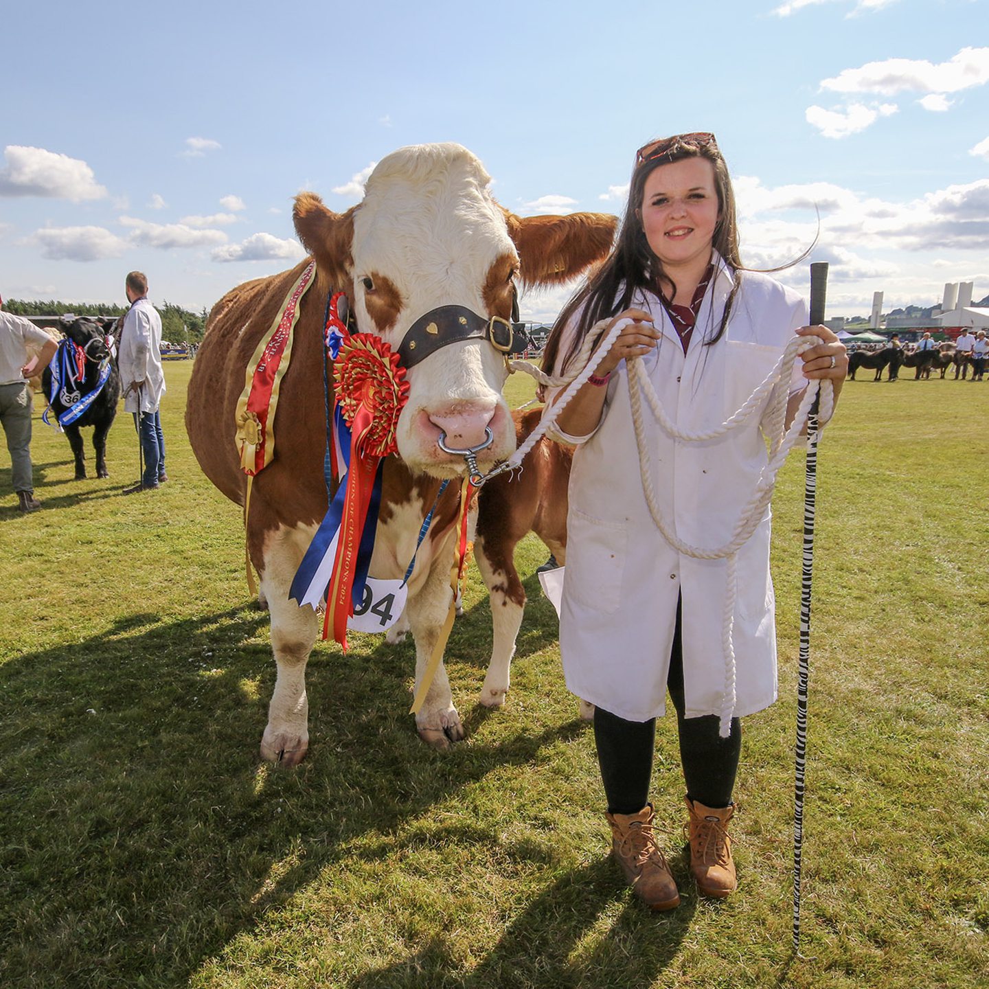 All you need to know about Black Isle Show