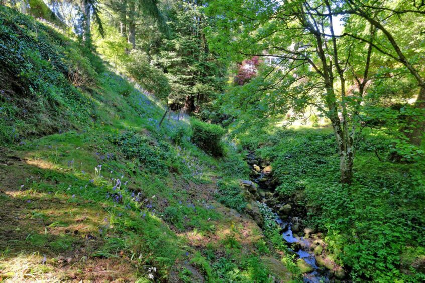 £1.2m Milltimber mansion with Dee Valley views hits the market