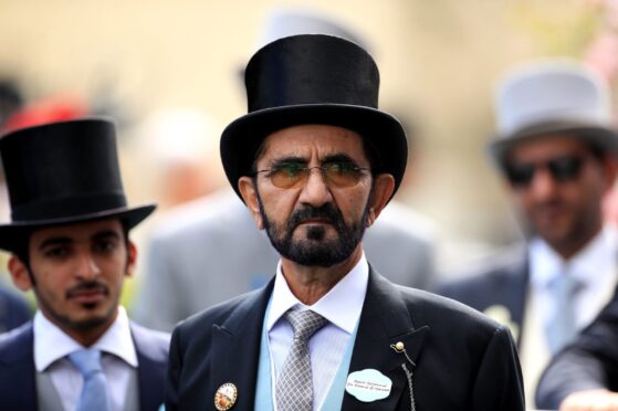 Dubai ruler installs solar panels at Highland estate without approval
