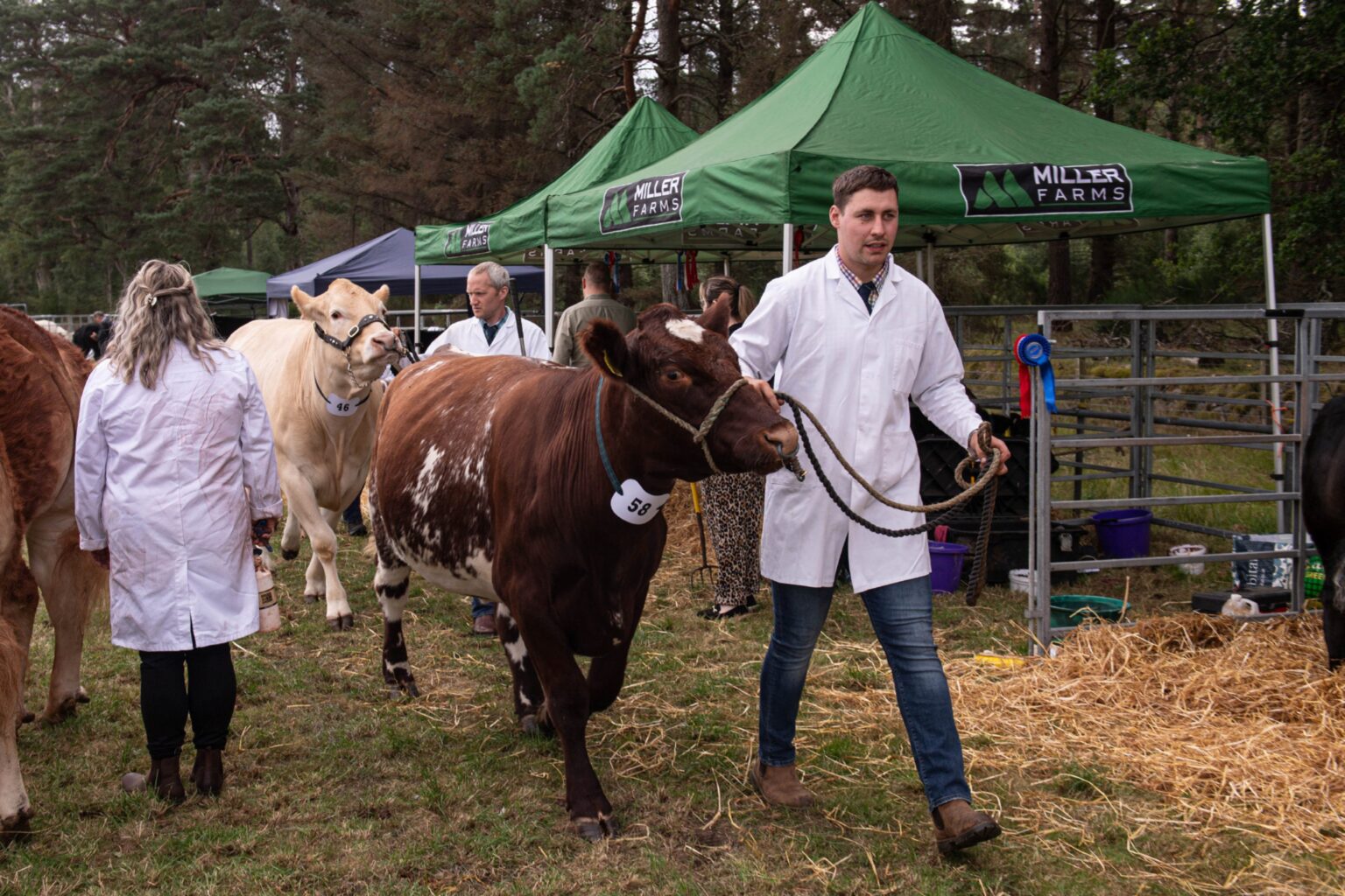 Gallery: Tarland Show, 2025 celebrates a hundred years of harvest