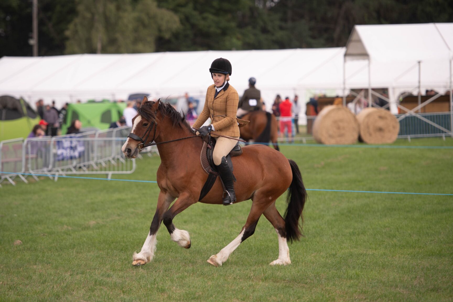 Gallery: Tarland Show, 2025 celebrates a hundred years of harvest