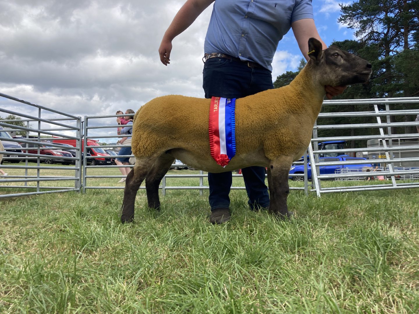 All you need to know about Tarland Show