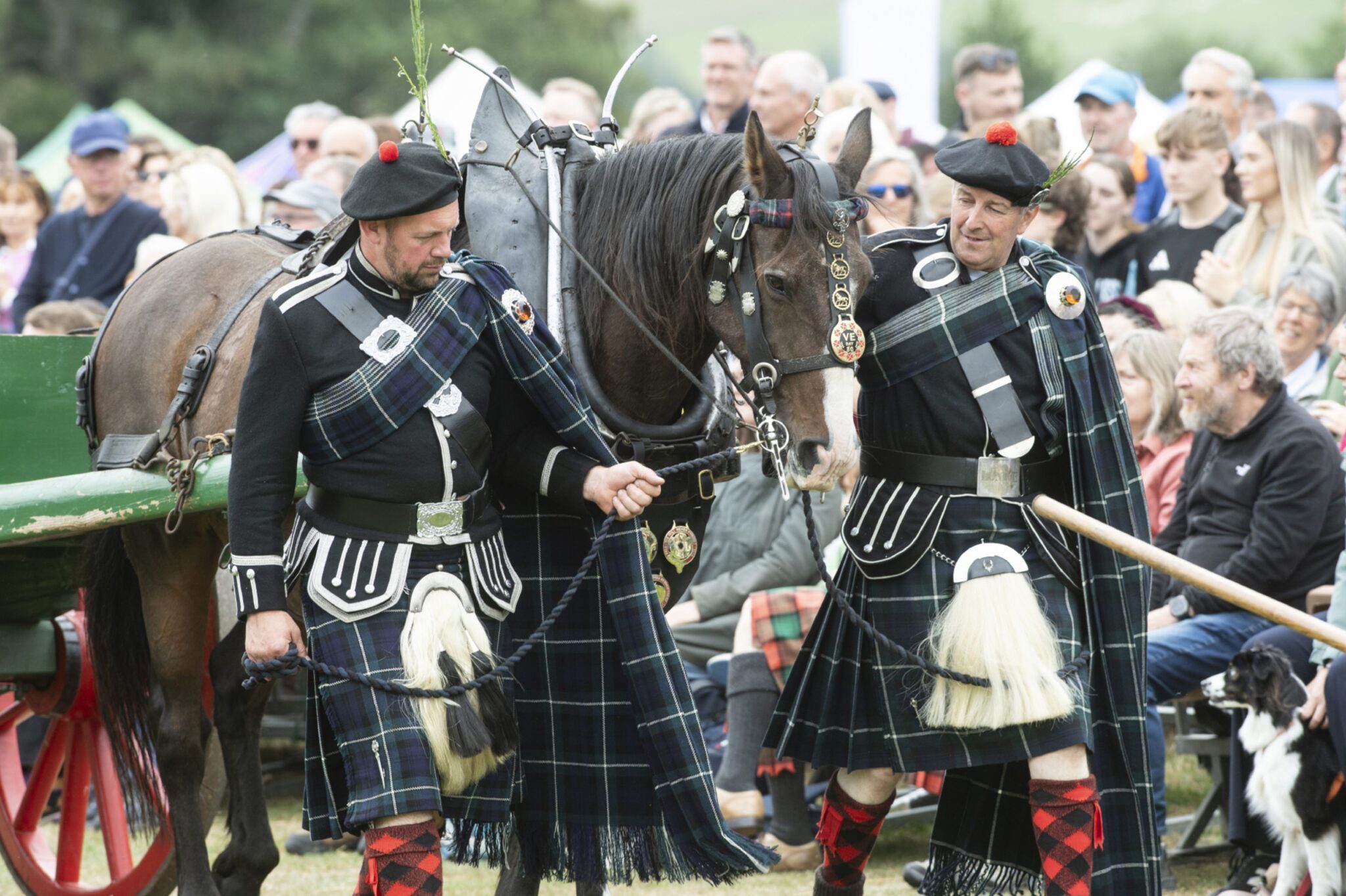 Gallery: Photos of 2025 Lonach Highland Games