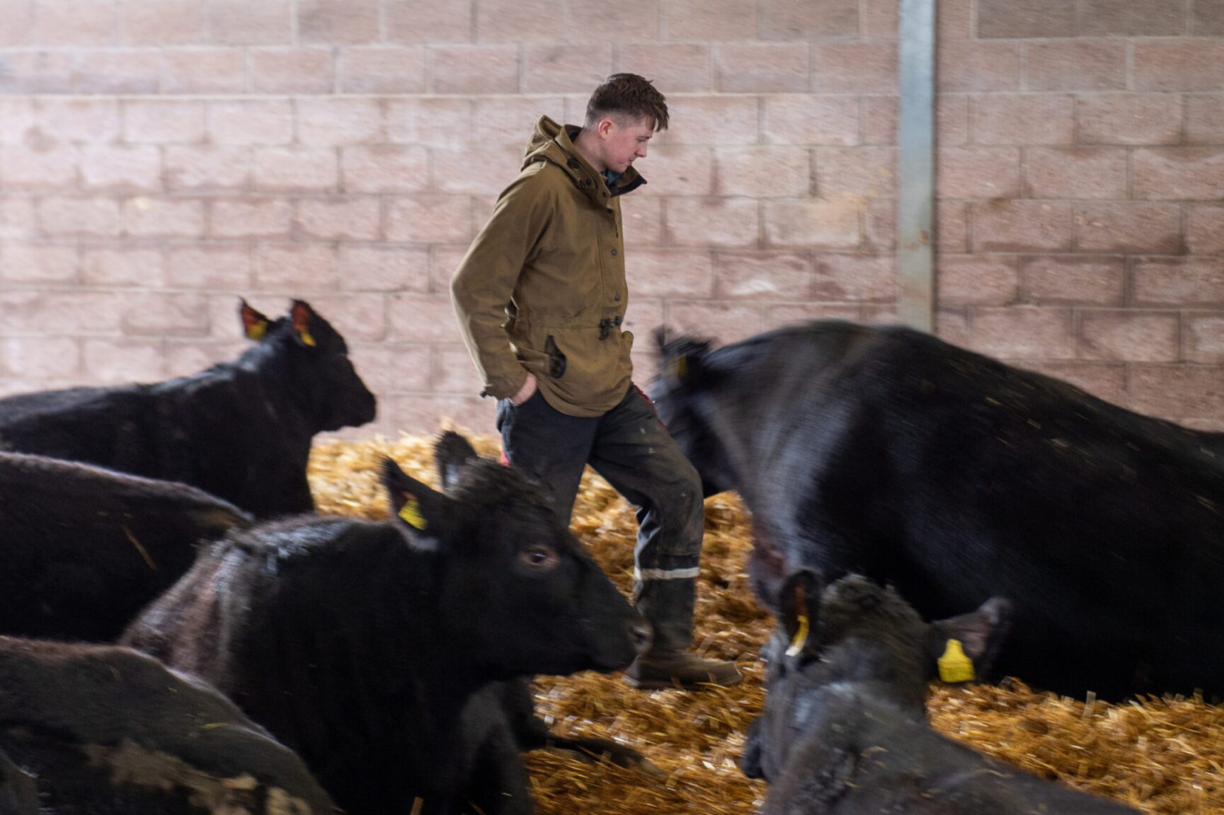 Five young people tell us why they love farming