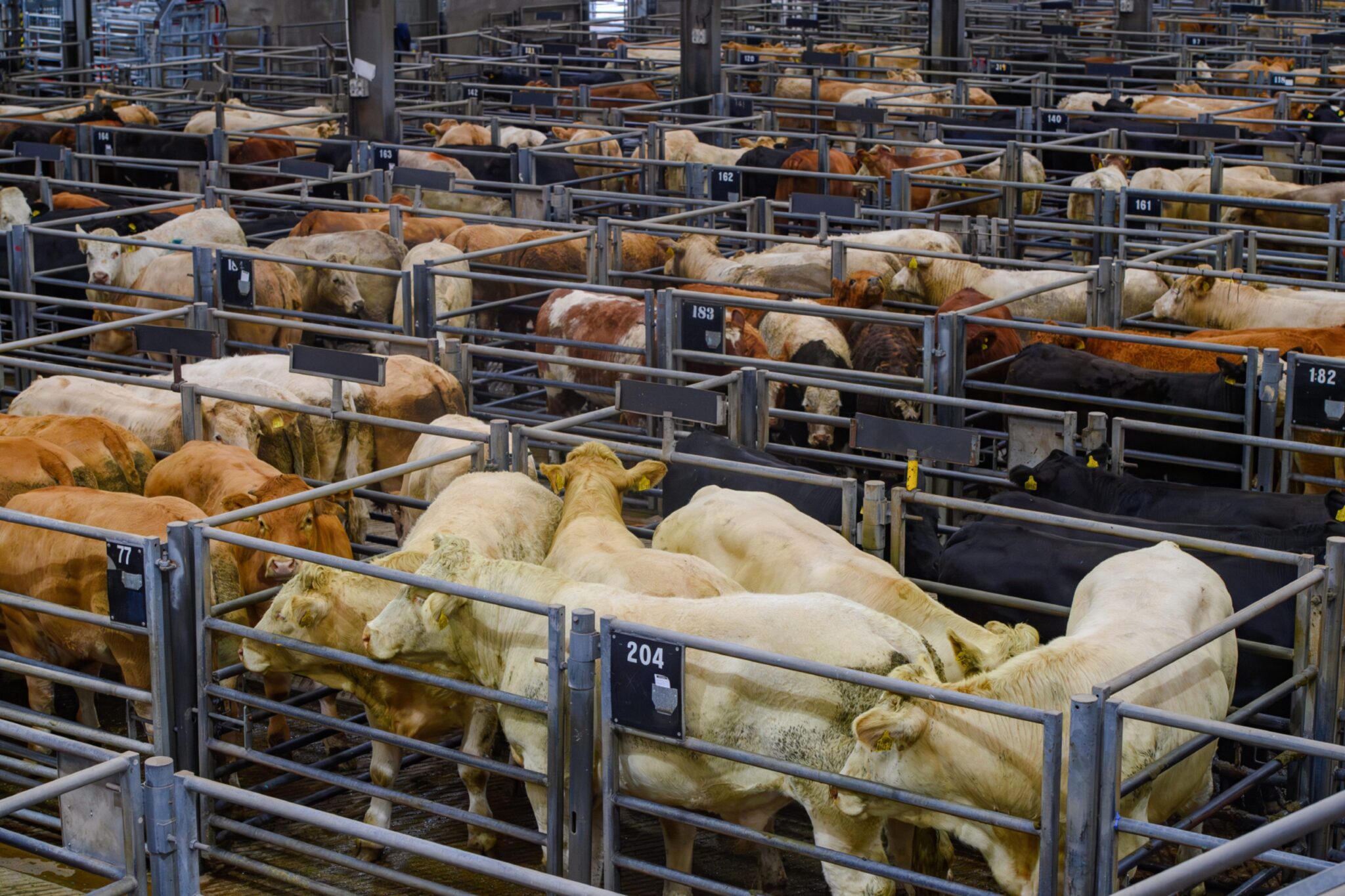 ANM Group makes two new appointments including former Scotbeef buyer ...