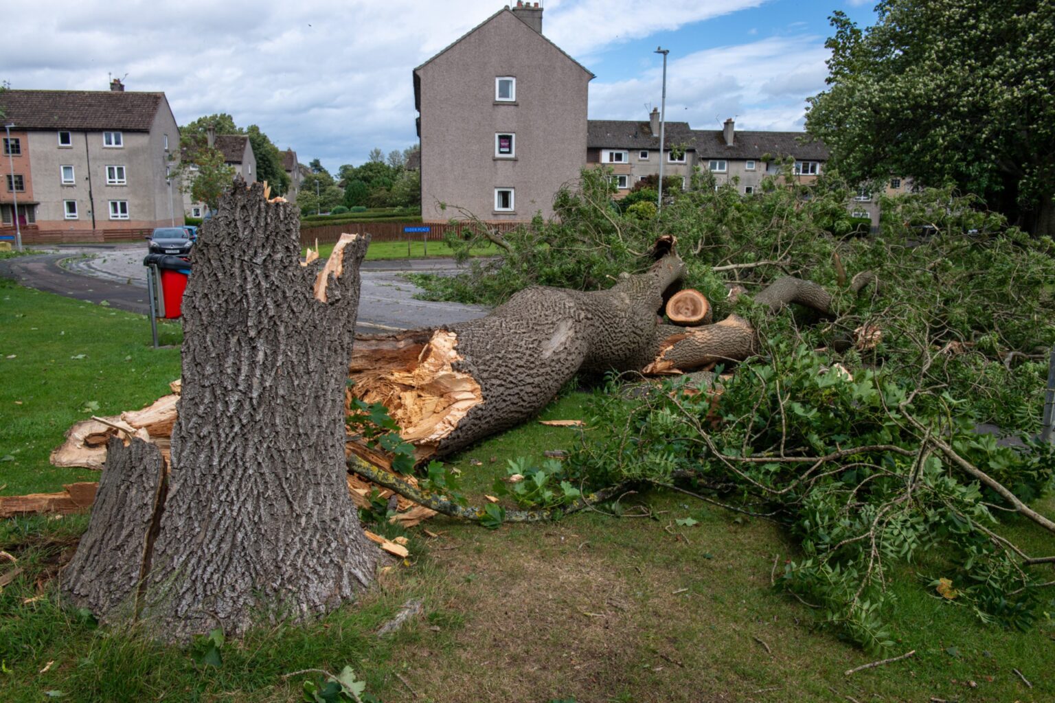 Storm Floris: Latest road closures as fallen trees block streets