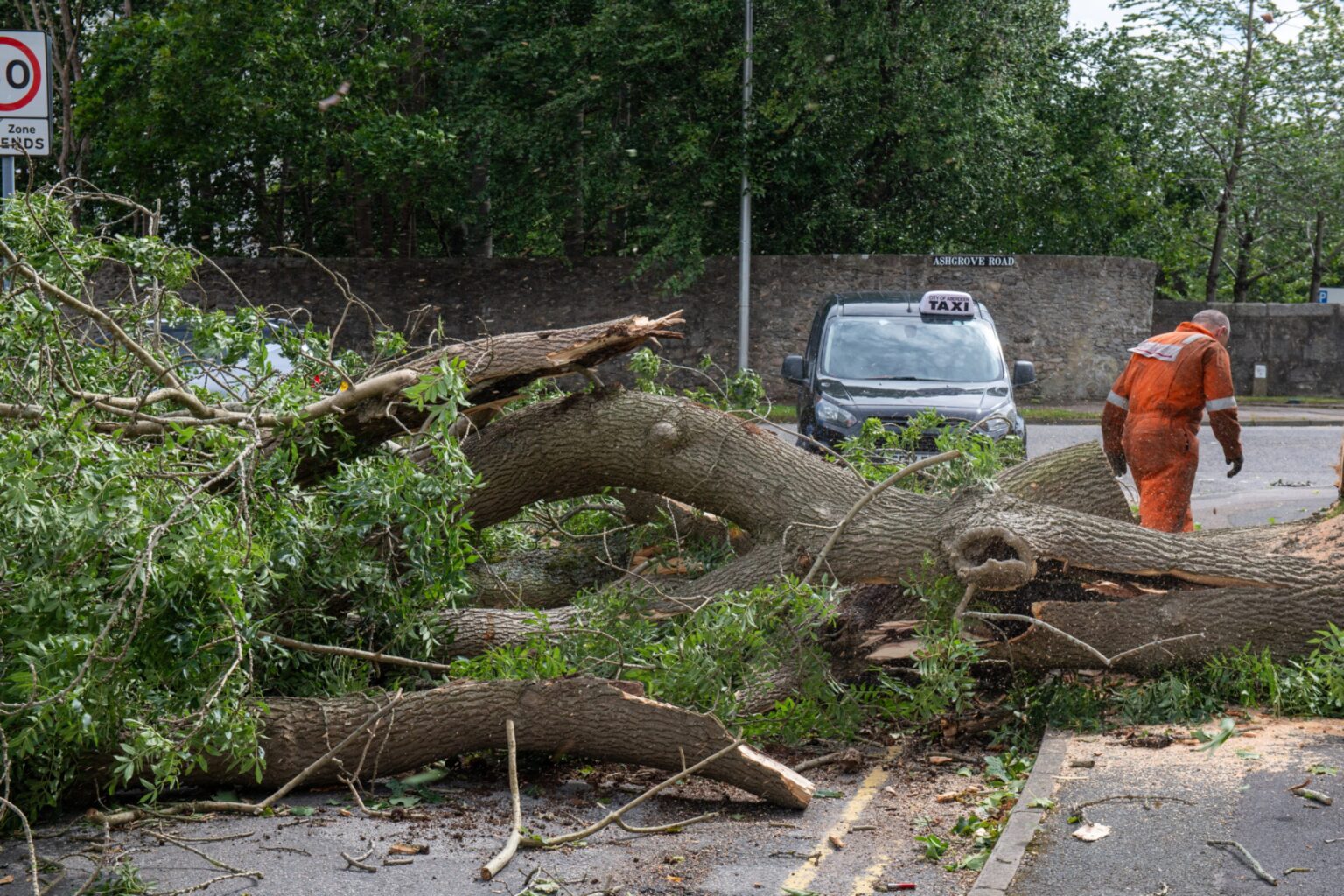 Storm Floris: Latest road closures as fallen trees block streets