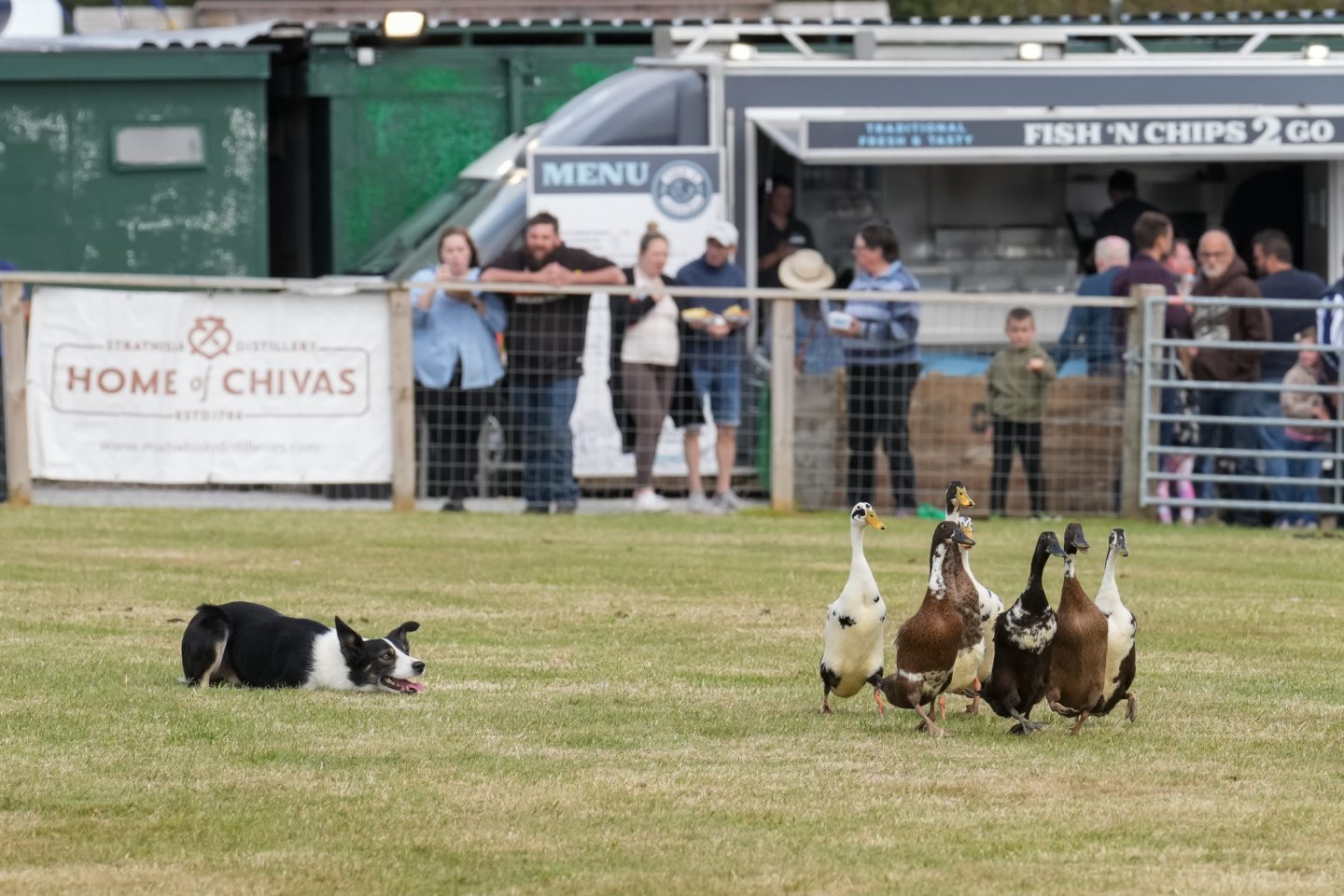 Best photos from Keith Show 2025 - Press and Journal