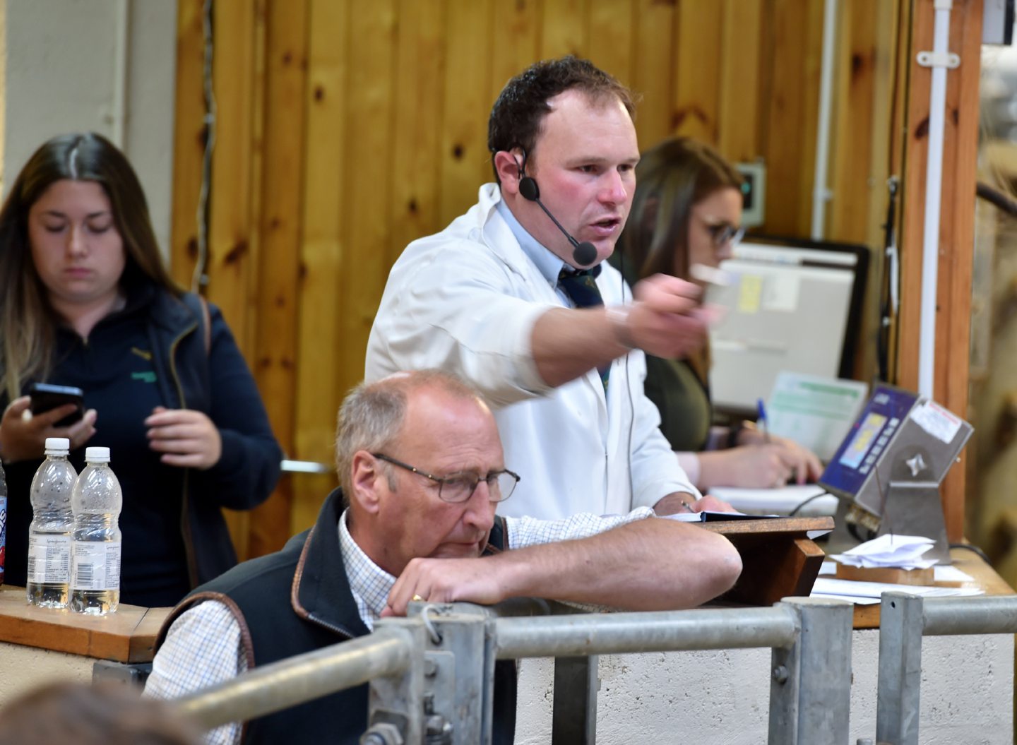 Gallery: All the action from Dingwall Mart's huge store lamb sale