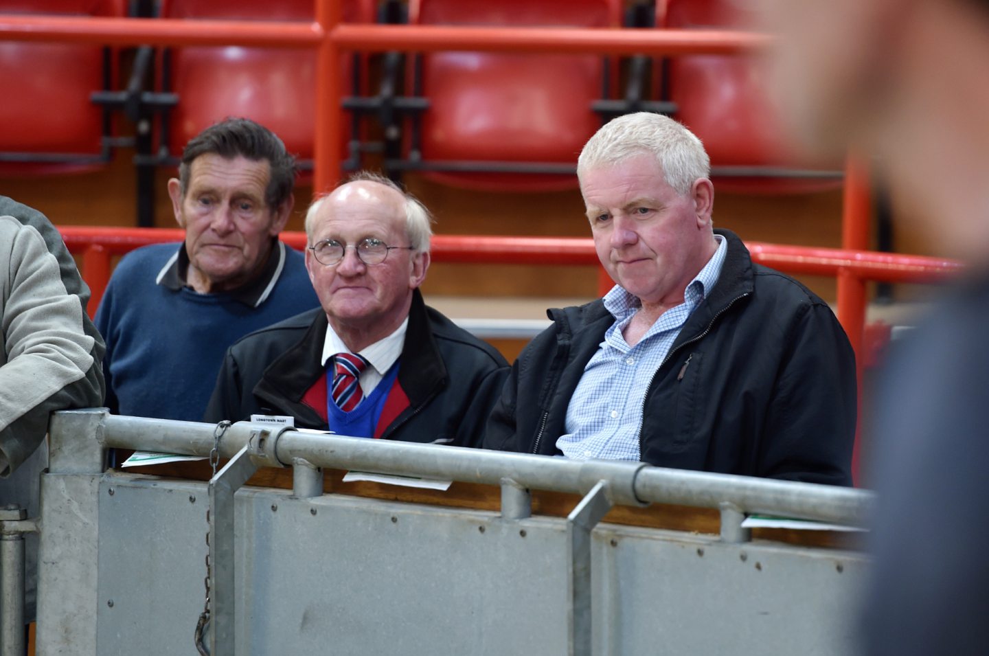 Gallery: All the action from Dingwall Mart's huge store lamb sale