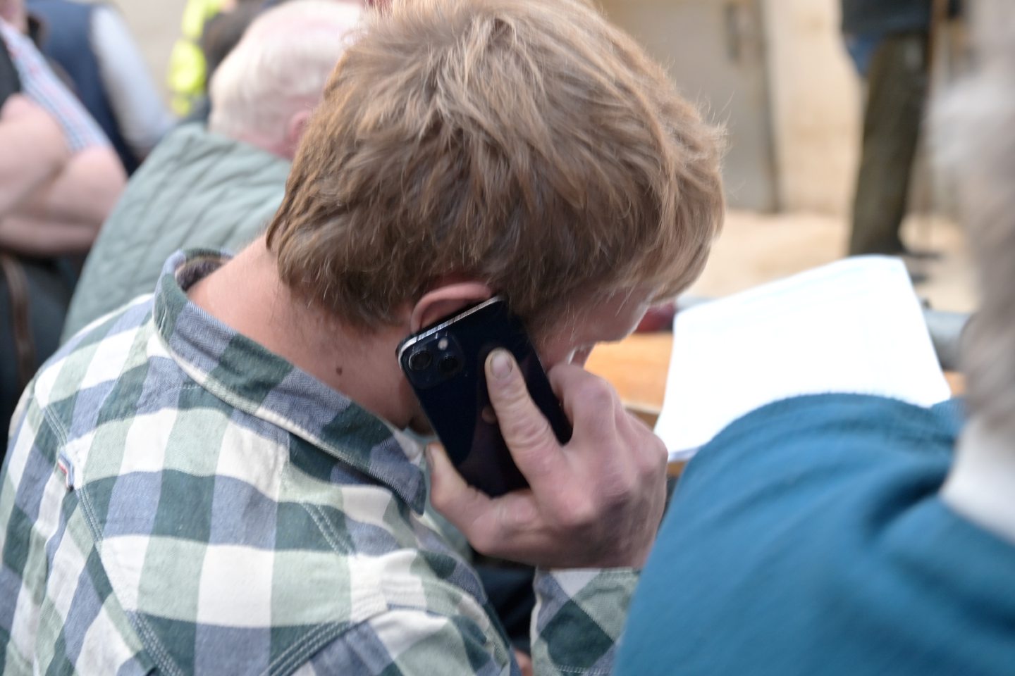 Gallery: All the action from Dingwall Mart's huge store lamb sale