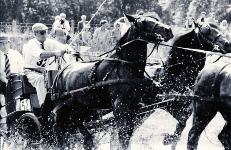 All you need to know about Tarland Show