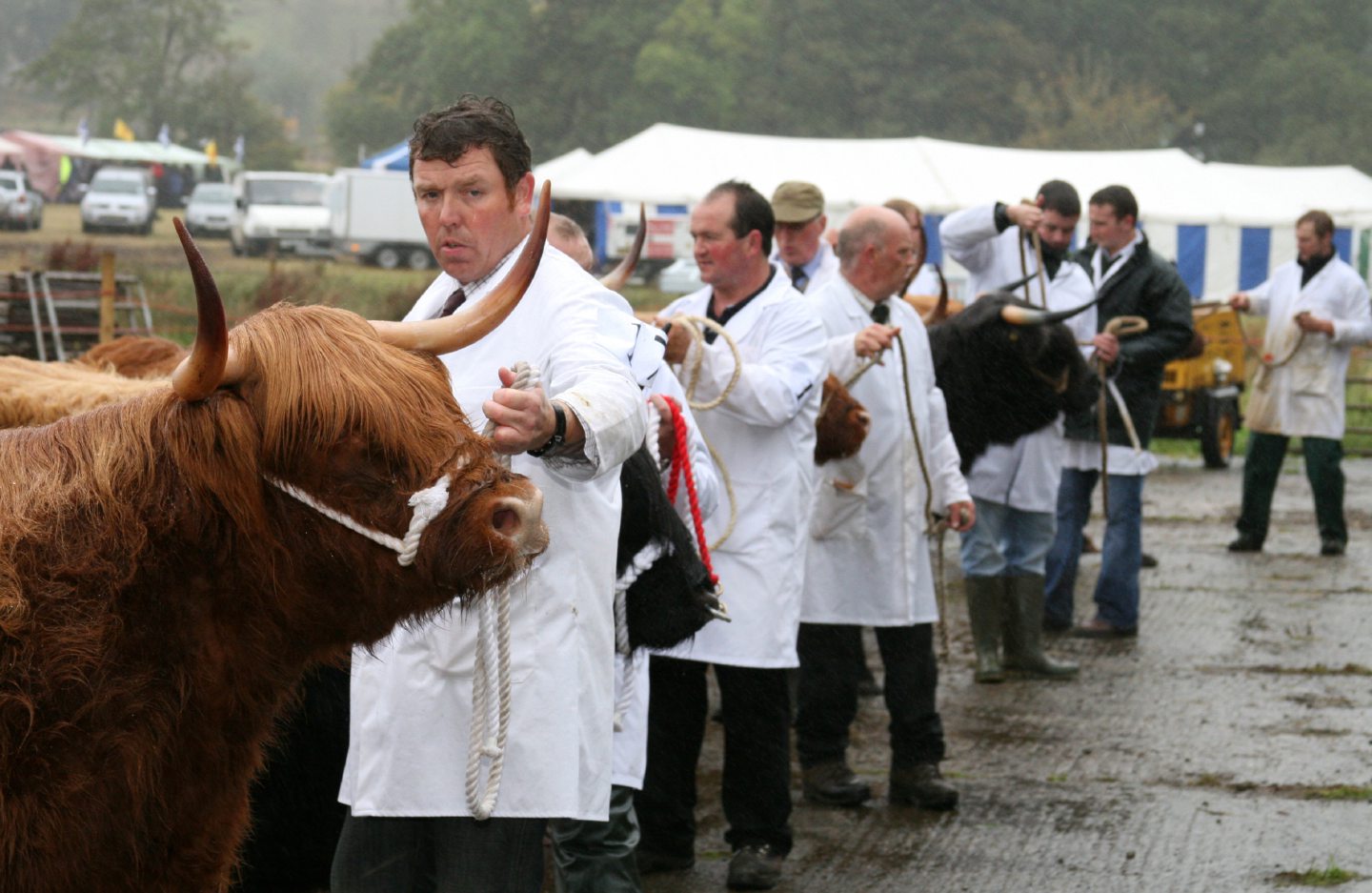 All you need to know about Dalmally Show