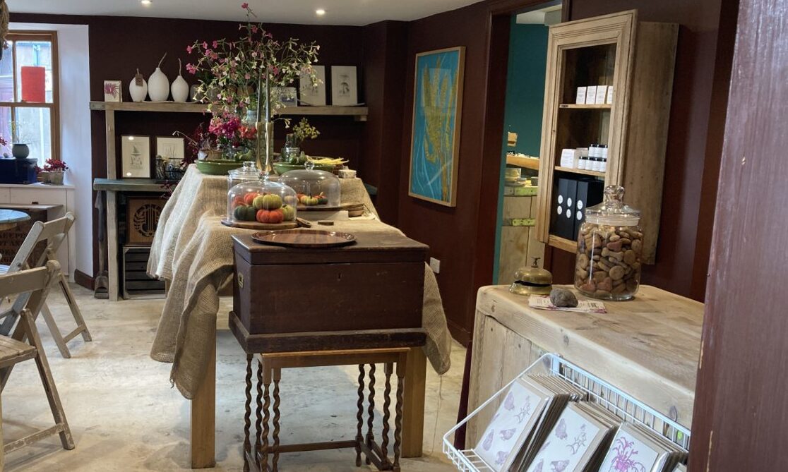 New Stonehaven botanical store takes root with plant hospital