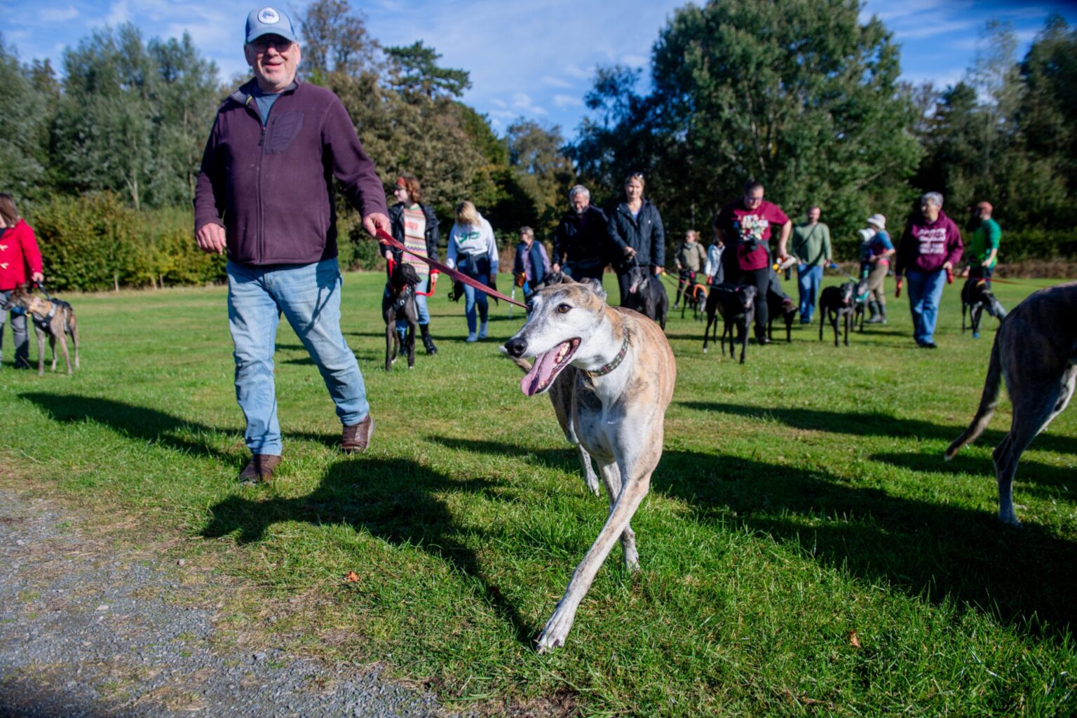 Great Global Greyhound Walk unites Aberdeenshire and Moray