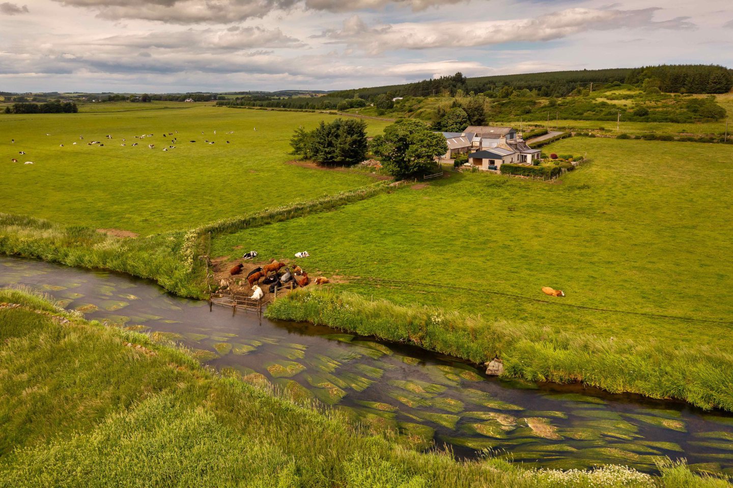 Potential global interest for 'idyllic' £480,000 farm in Aberdeenshire
