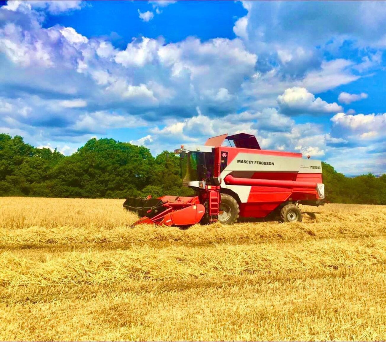 Readers’ 15 best pictures of harvest time across the north-east - Press ...