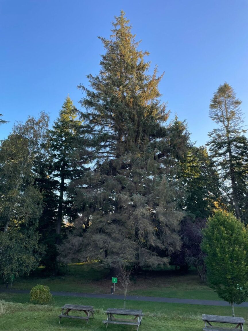 'We want Hutton Institute to go from Aberdeen secret to attraction'