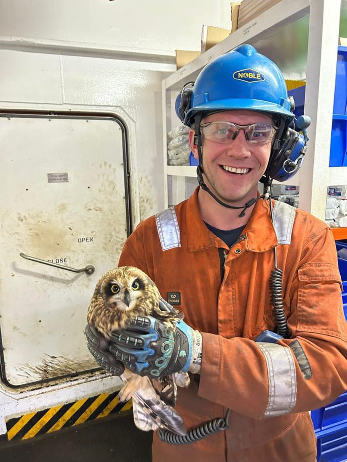 North Sea oil worker fed 'lost and hungry owl' on rig in survival bid