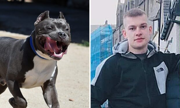 Aberdeen court jails man for dog cruelty after poo floods property